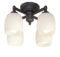 4 light ceiling fan light kit - Efficient With A Ceiling Fan - Warisan ...