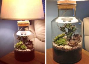 Terrarium lamp - a beautiful and unique way to bring nature into your ...