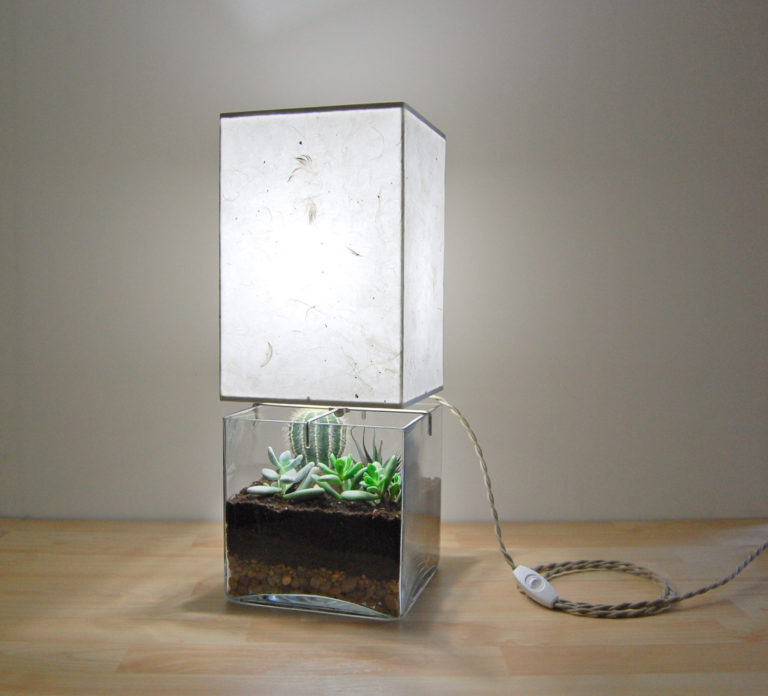 Terrarium lamp - a beautiful and unique way to bring nature into your ...
