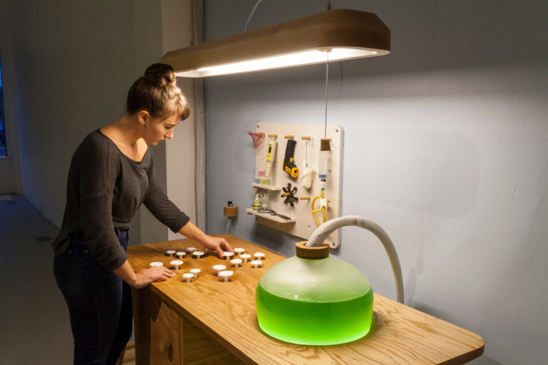 10 benefits of Algae lamps - Warisan Lighting