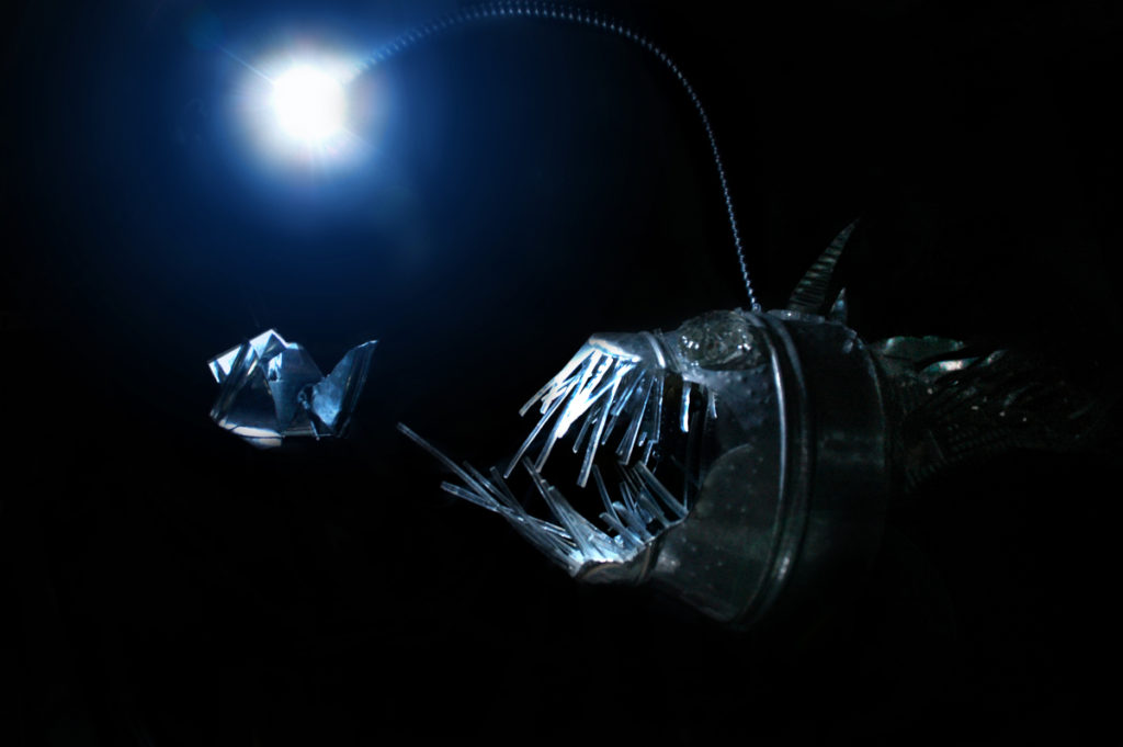 10 facts about Angler fish lamps - Warisan Lighting
