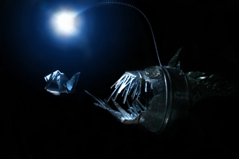 10 facts about Angler fish lamps - Warisan Lighting