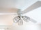 10 facts about Ceiling fan light cap - Warisan Lighting