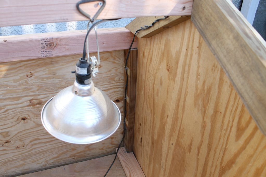 10 facts about Heat lamp for dog house - Warisan Lighting