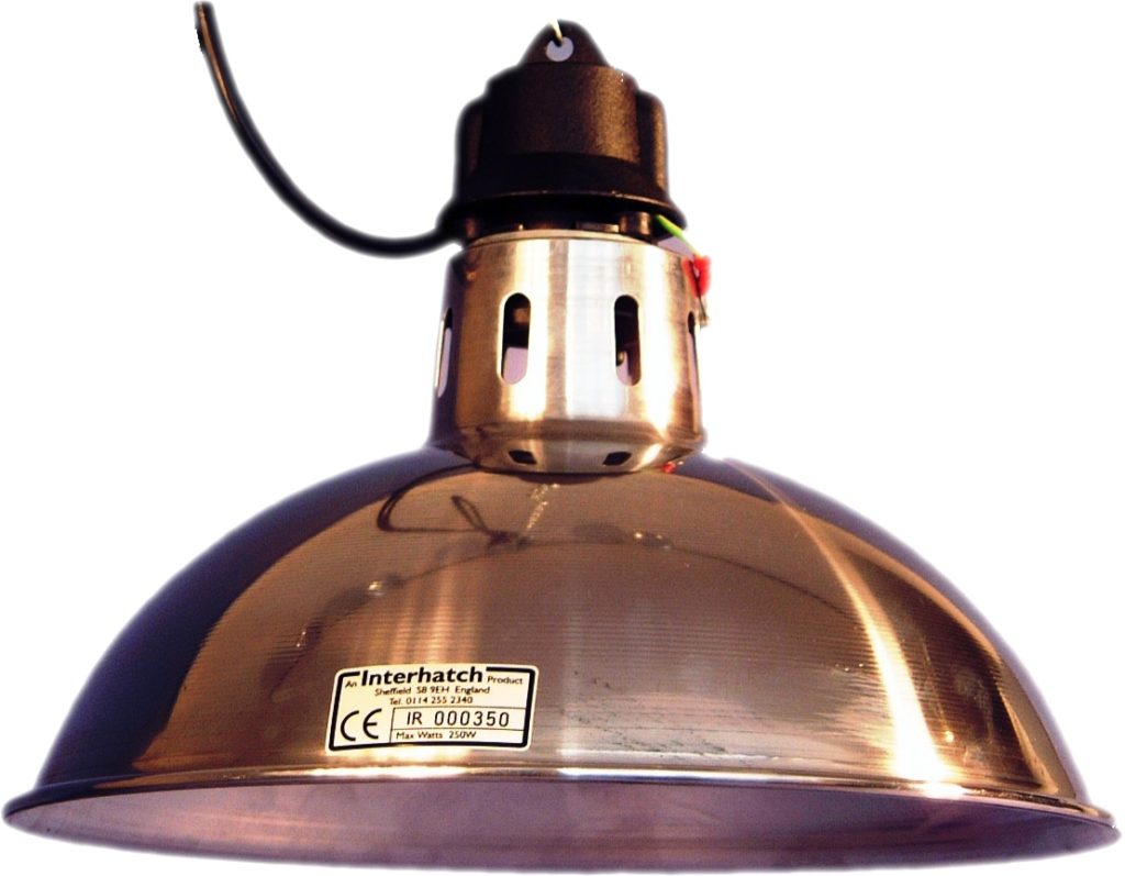 Heat lamps - 10 reasons to own - Warisan Lighting