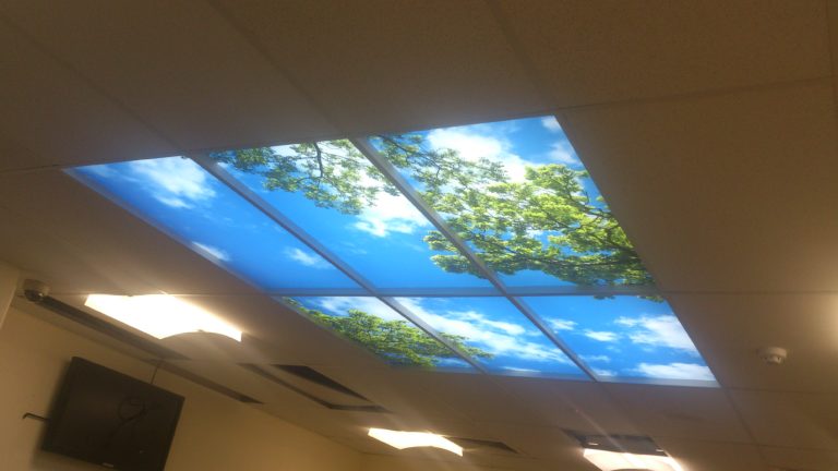 Lighted Ceiling Panels - Cost Effective Way of Customizing Your ...