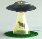 10 ways to light up your kid’s room with WWE lamps - Warisan Lighting