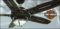Harley davidson ceiling fans - the conducive environment with fresh air ...