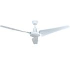 Neon ceiling fan - add a statement to your room! - Warisan Lighting