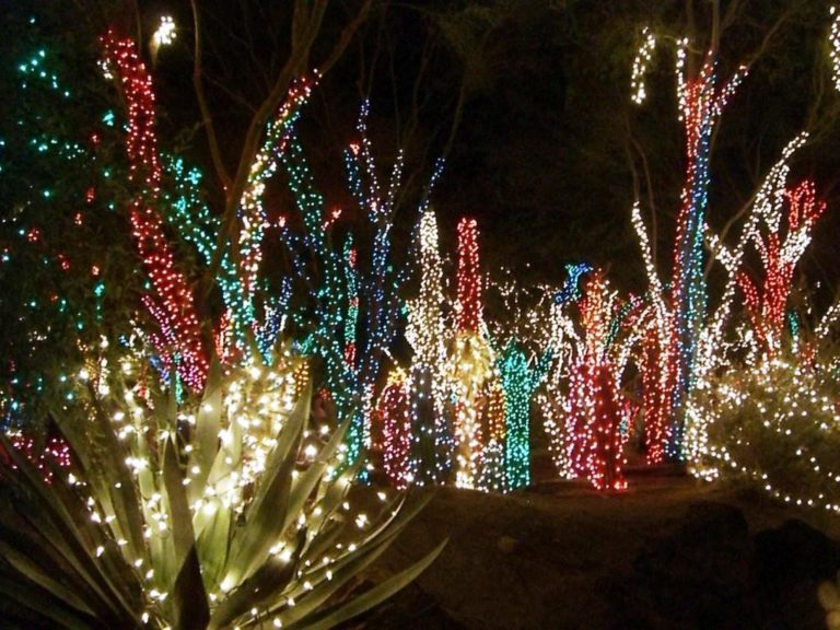Led outdoor tree lights - Will Give A Remarkable Look To Your Location ...