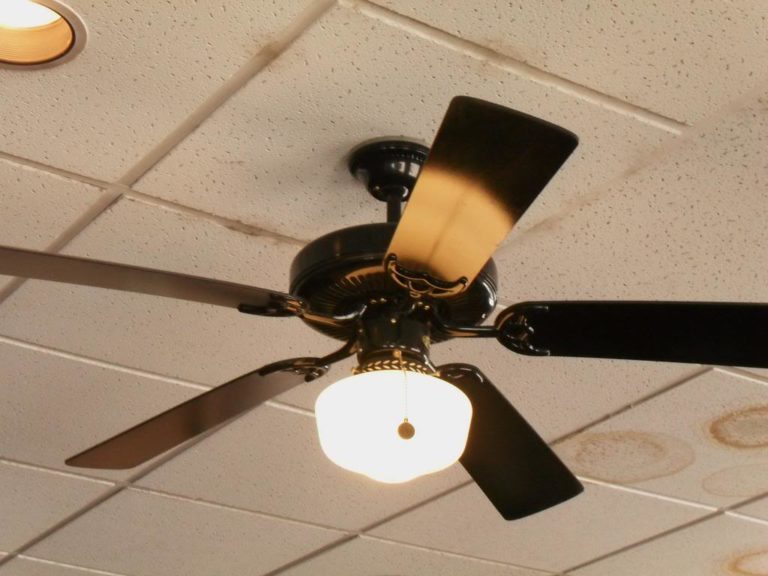 Top 25 Murray feiss ceiling fans - Warisan Lighting