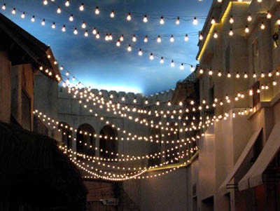 Success can be celebrated completely with party outdoor lights ...