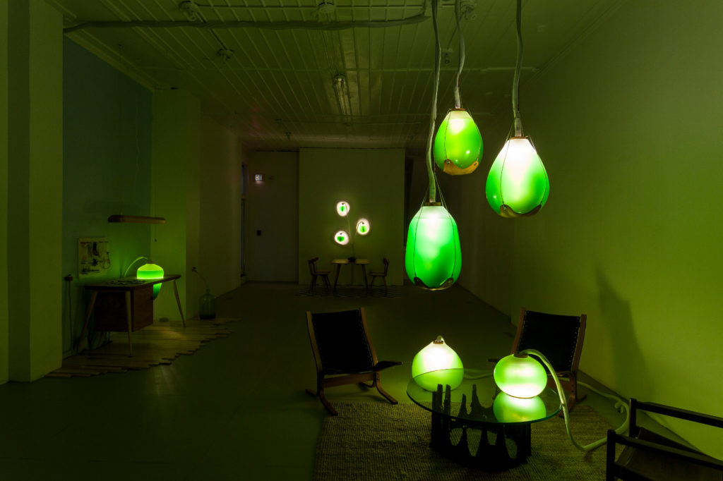 10 benefits of Algae lamps - Warisan Lighting