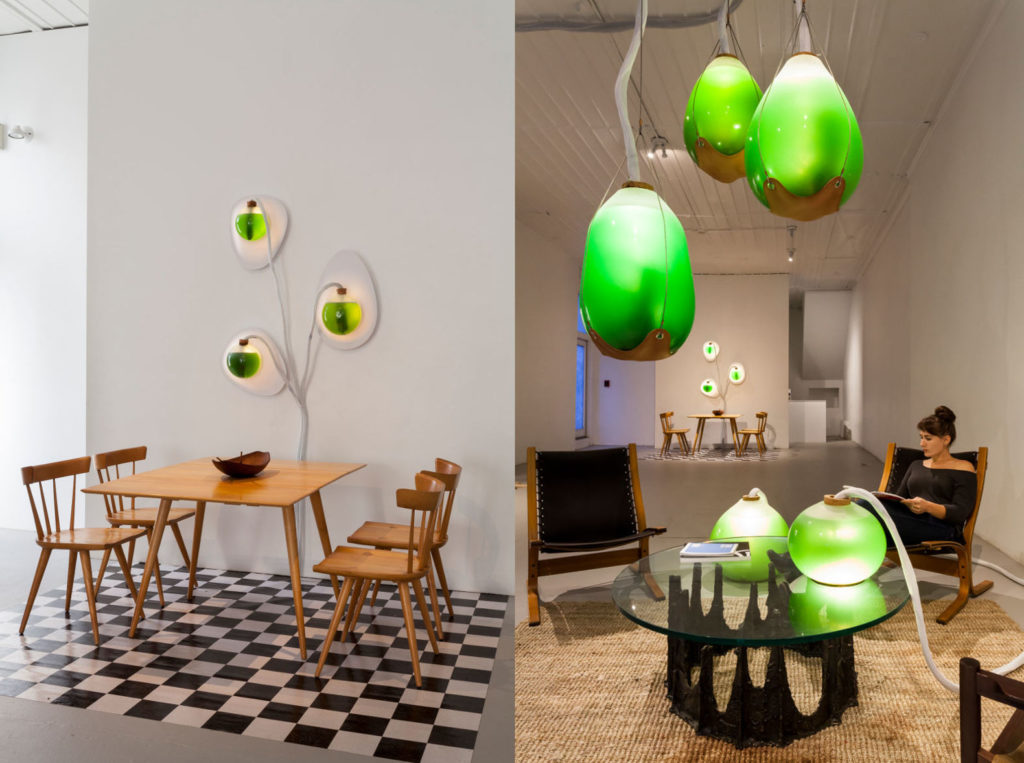 10 benefits of Algae lamps - Warisan Lighting